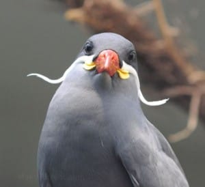 50 Alive Photography Poses Everyone Should Try