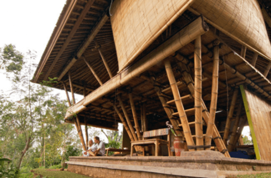 50 Breathtaking Bamboo House Designs