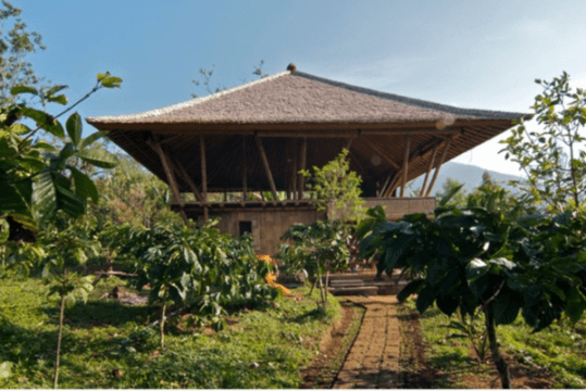 50 Breathtaking Bamboo House Designs