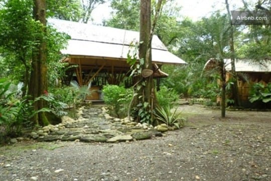 50 Breathtaking Bamboo House Designs