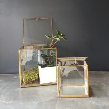 50 Magical Terrarium ideas to install in Your Home