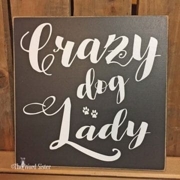 40 Funny Pet signs to Honor Your Four Legs Buddy