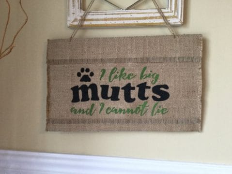 40 Funny Pet signs to Honor Your Four Legs Buddy
