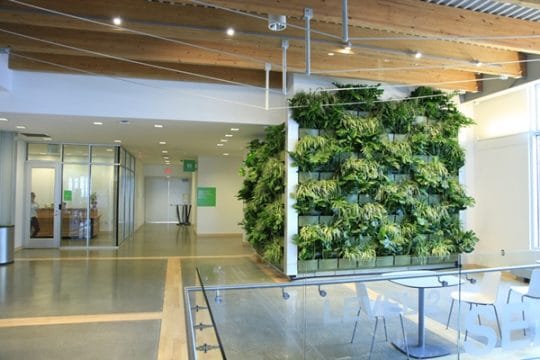 40 Modern Indoor Garden Ideas From Future