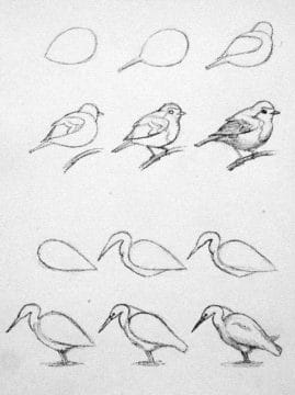 20 Step by Step Art Drawings to Practice in Free Time