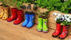 40 Innovative Plant Pots ideas