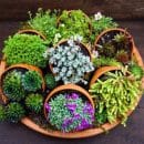 40 Innovative Plant Pots ideas