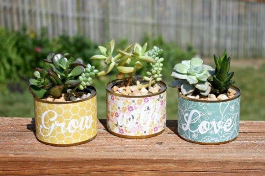 40 Innovative Plant Pots ideas