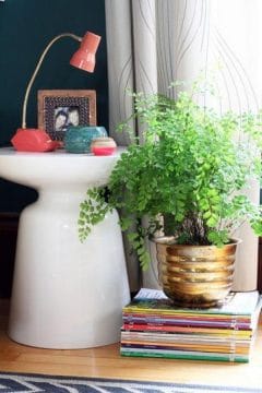 40 Innovative Plant Pots ideas
