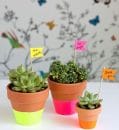 40 Innovative Plant Pots ideas