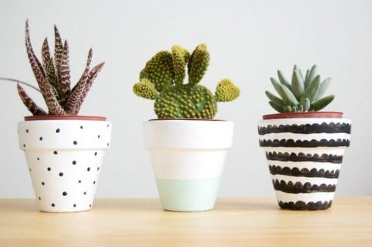 40 Innovative Plant Pots ideas