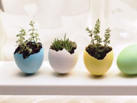 40 Innovative Plant Pots ideas