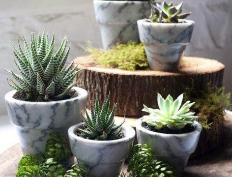 40 Innovative Plant Pots ideas