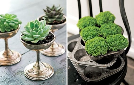40 Innovative Plant Pots ideas