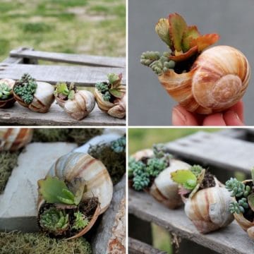 40 Innovative Plant Pots ideas