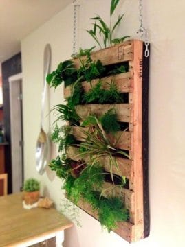 10 Super Creative Vertical Garden Ideas