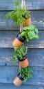 10 Super Creative Vertical Garden Ideas
