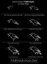 25 Quick "How to Draw an Animal" Cheat Sheet