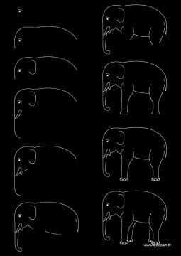 25 Quick "How to Draw an Animal" Cheat Sheet