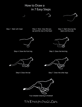 25 Quick "How to Draw an Animal" Cheat Sheet