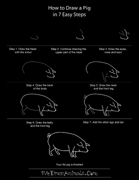25 Quick "How to Draw an Animal" Cheat Sheet