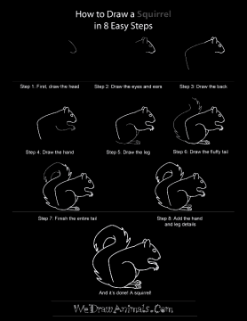 25 Quick "How to Draw an Animal" Cheat Sheet