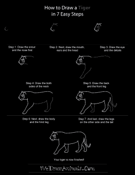 25 Quick "How to Draw an Animal" Cheat Sheet
