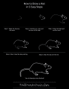 25 Quick "How to Draw an Animal" Cheat Sheet