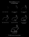 25 Quick "How to Draw an Animal" Cheat Sheet