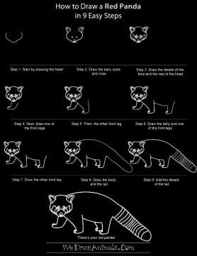 25 Quick "How to Draw an Animal" Cheat Sheet