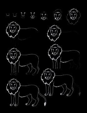 25 Quick "How to Draw an Animal" Cheat Sheet