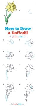40 Drawing Tutorial for Occasional Artists – Buzz16