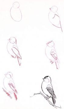 40 Drawing Tutorial for Occasional Artists – Buzz16
