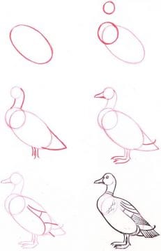 40 Drawing Tutorial for Occasional Artists – Buzz16